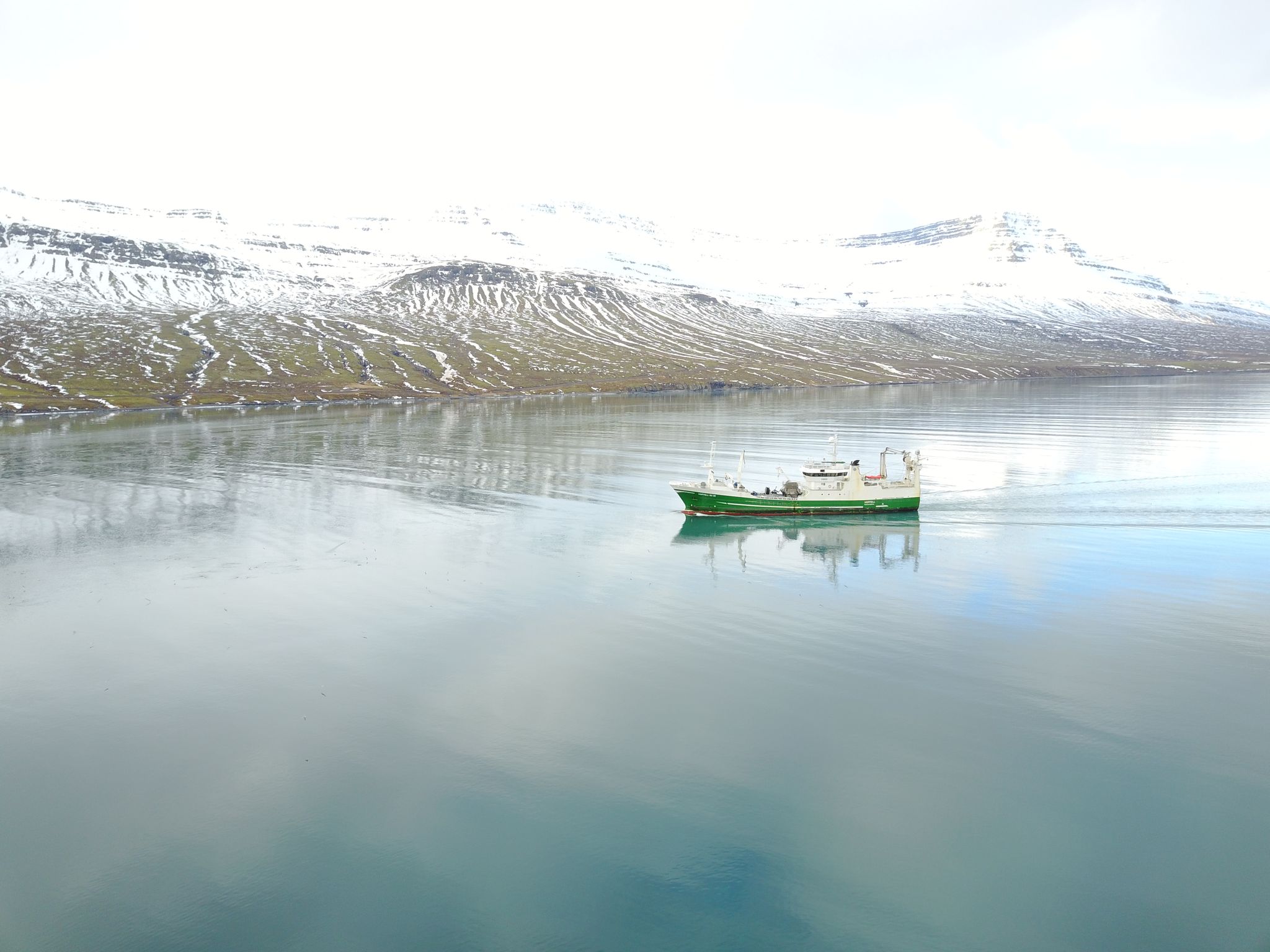 Loðnuvinnslan óskar eftir Vélstjóra í 50% stöðu á Hoffell SU-80 ...