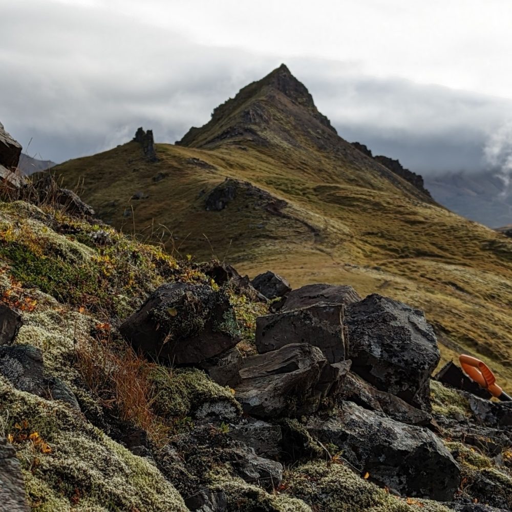 Home - Austurland.is